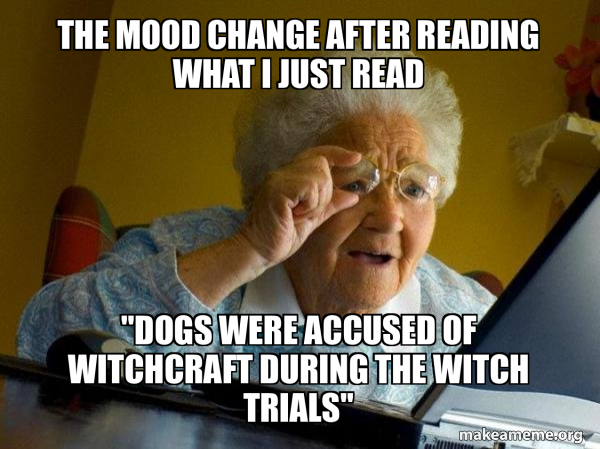 The mood change after reading what I just read "Dogs were accused of ...