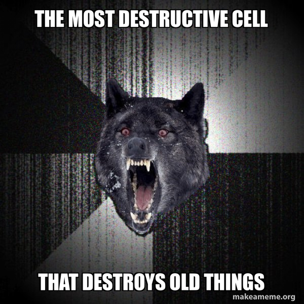 The most destructive cell that destroys old things - Insanity Wolf Meme ...