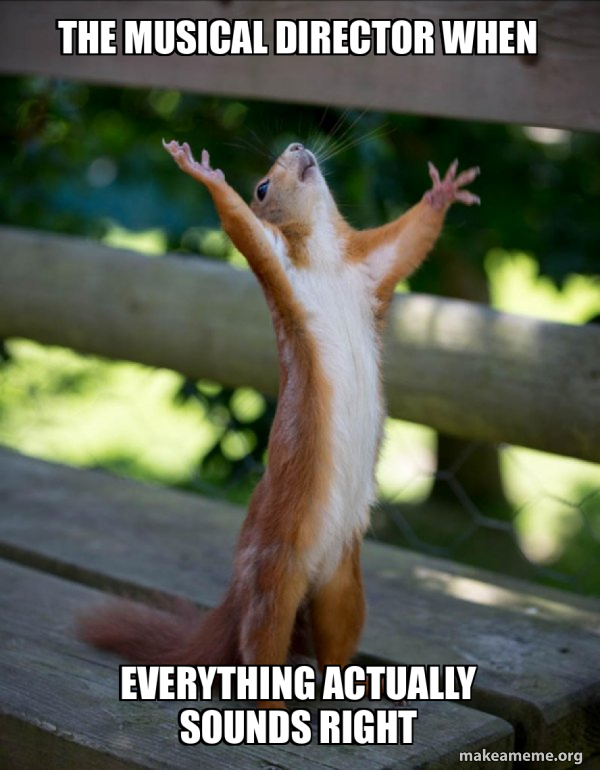 The musical director when everything actually sounds right - Happy ...