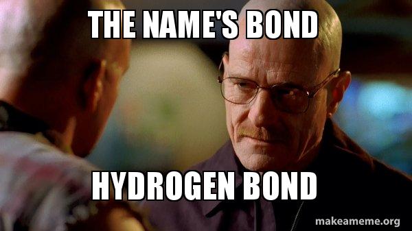 Hydrogen Bond Memes