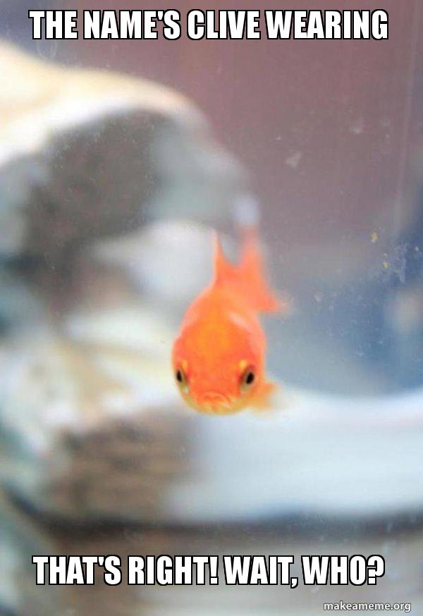 The name's Clive Wearing That's right! Wait, who? - Grumpy Fish Meme ...