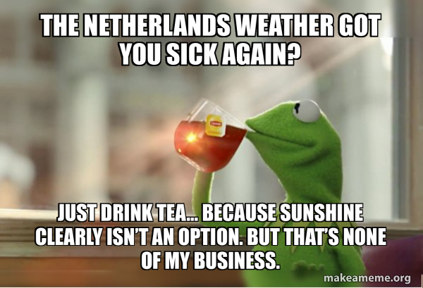 The Netherlands weather got you sick again? Just drink tea… because ...