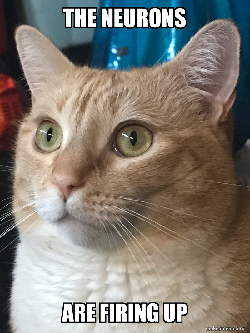 The Neurons Are Firing Up Meme Generator