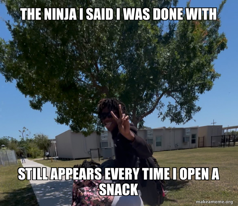 The ninja I said I was done with Still appears every time I open a ...