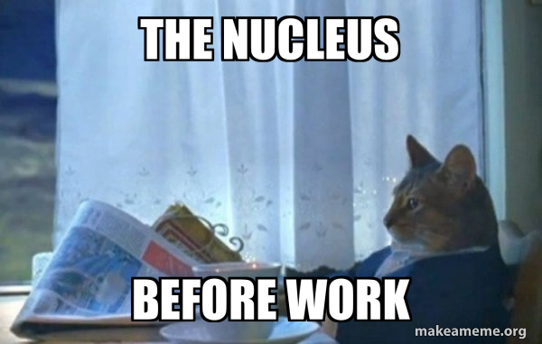 The nucleus before work - Sophisticated Cat Meme Generator