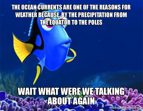 Ocean Currents Memes
