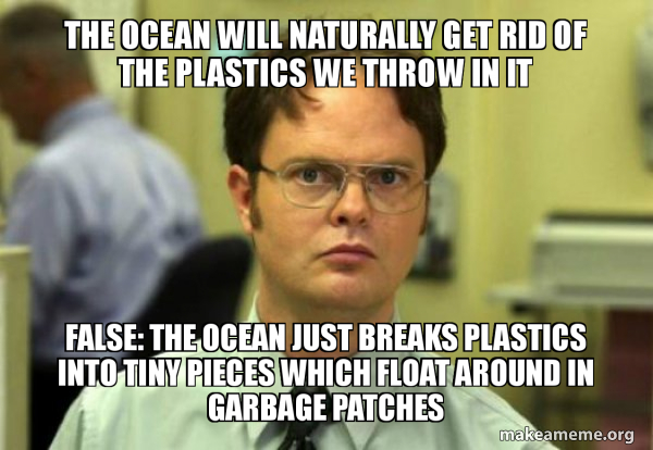 the ocean will naturally get rid of the plastics we throw in it false ...