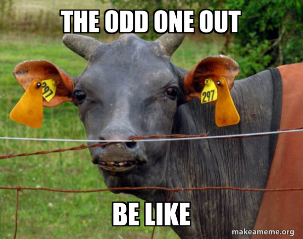 The odd one out be like - Hairless Cow Meme Generator
