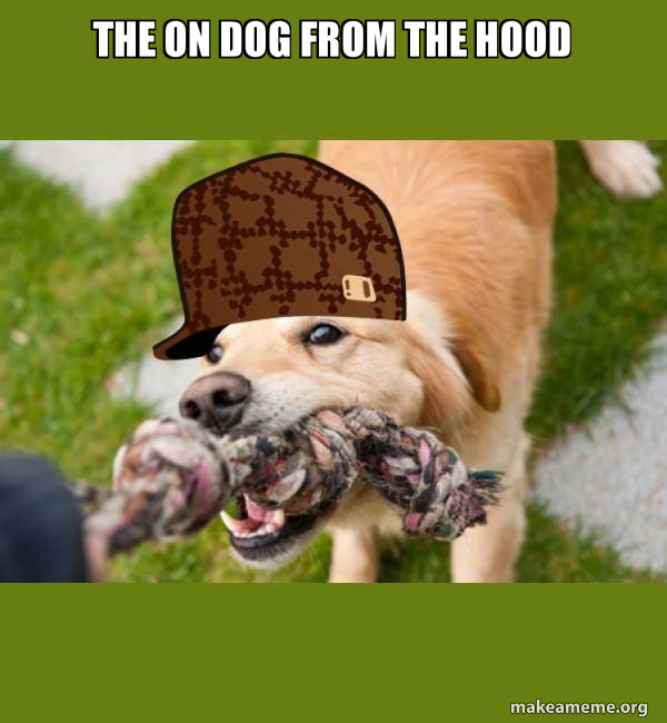 the on dog from the hood - Scumbag dog Meme Generator
