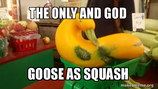 the only and god goose as squash - Gourd Advice Mallard Meme Generator