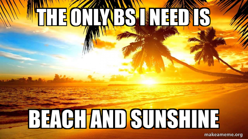 the only bs i need is beach and sunshine Meme Generator