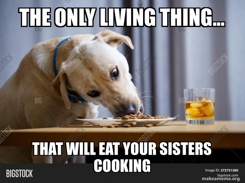 the only living thing... that will eat your sisters cooking Meme Generator