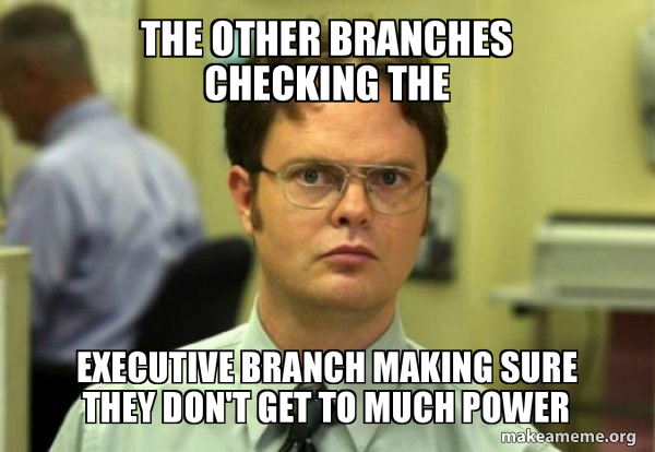 the other branches checking the executive branch making sure they don't ...