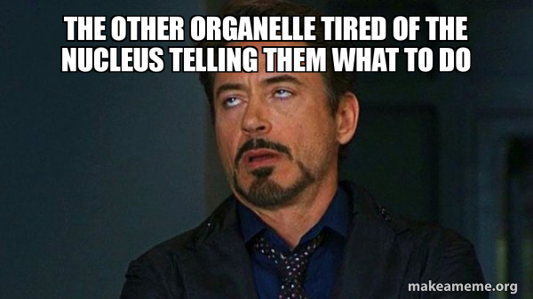 Organelle Memes