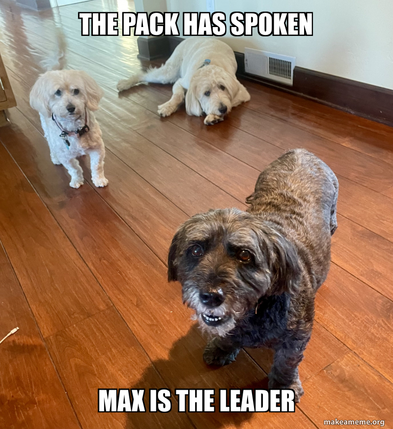 The pack has spoken Max is the leader Meme Generator
