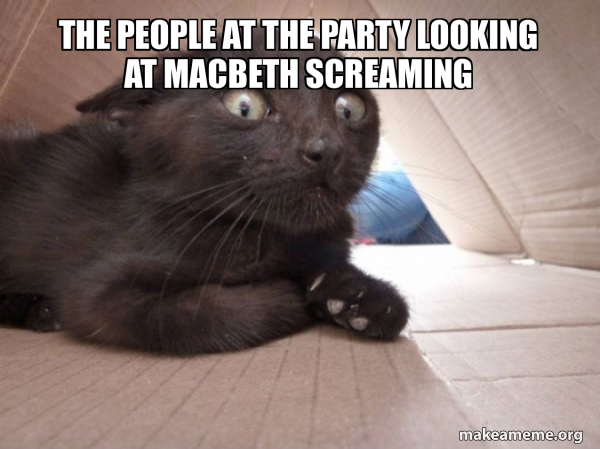 The people at the party looking at Macbeth screaming - Schitzo Cat Meme ...