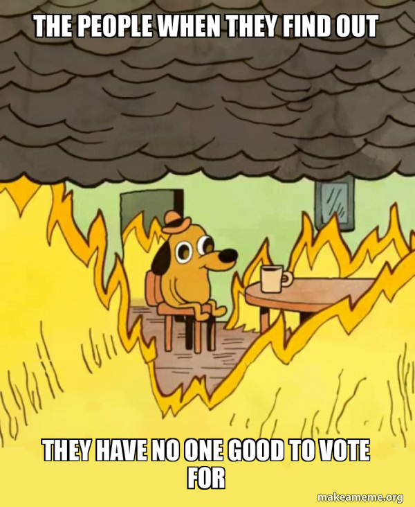 The people when they find out they have no one good to vote for - This ...