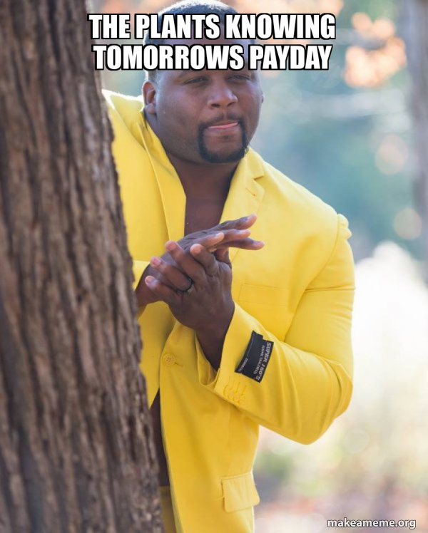 The Plants knowing tomorrows payday - Anthony Adams in Yellow Suit ...