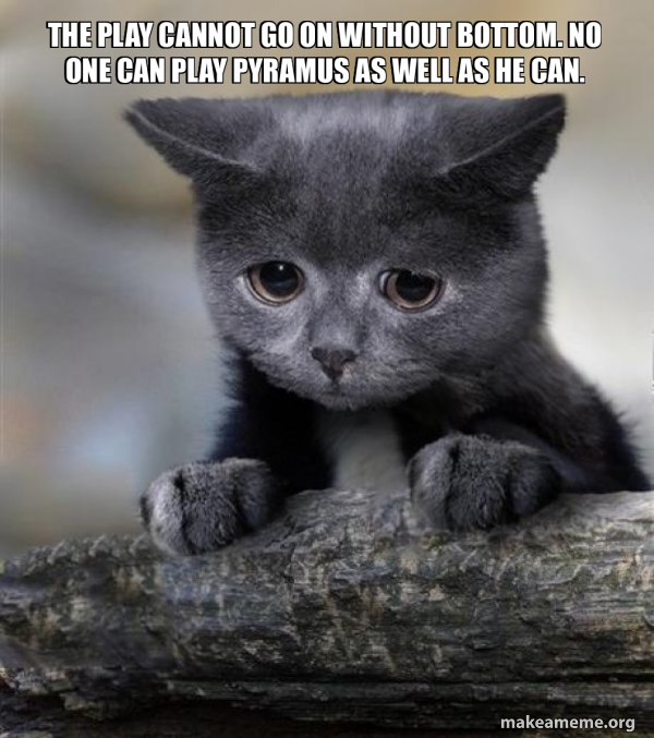 The play cannot go on without Bottom. No one can play Pyramus as well ...