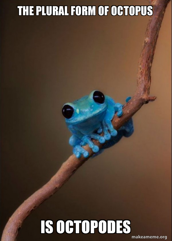 the plural form of octopus is octopodes - Small Fact Frog Meme Generator