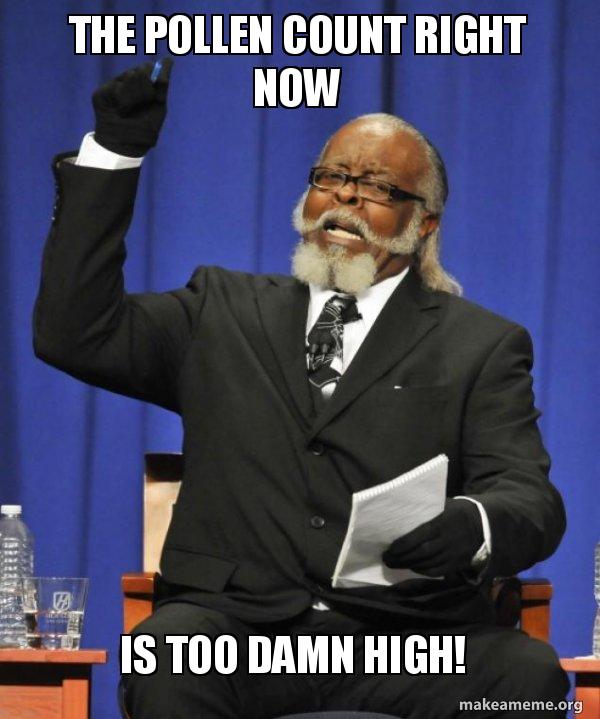 The pollen count right now Is too damn high! - Too Damn HIgh Meme Generator