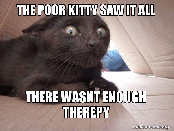 Poor Kitty Memes