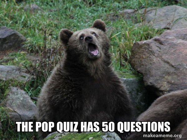 the pop quiz has 50 questions - Sarcastic Bear Meme Generator