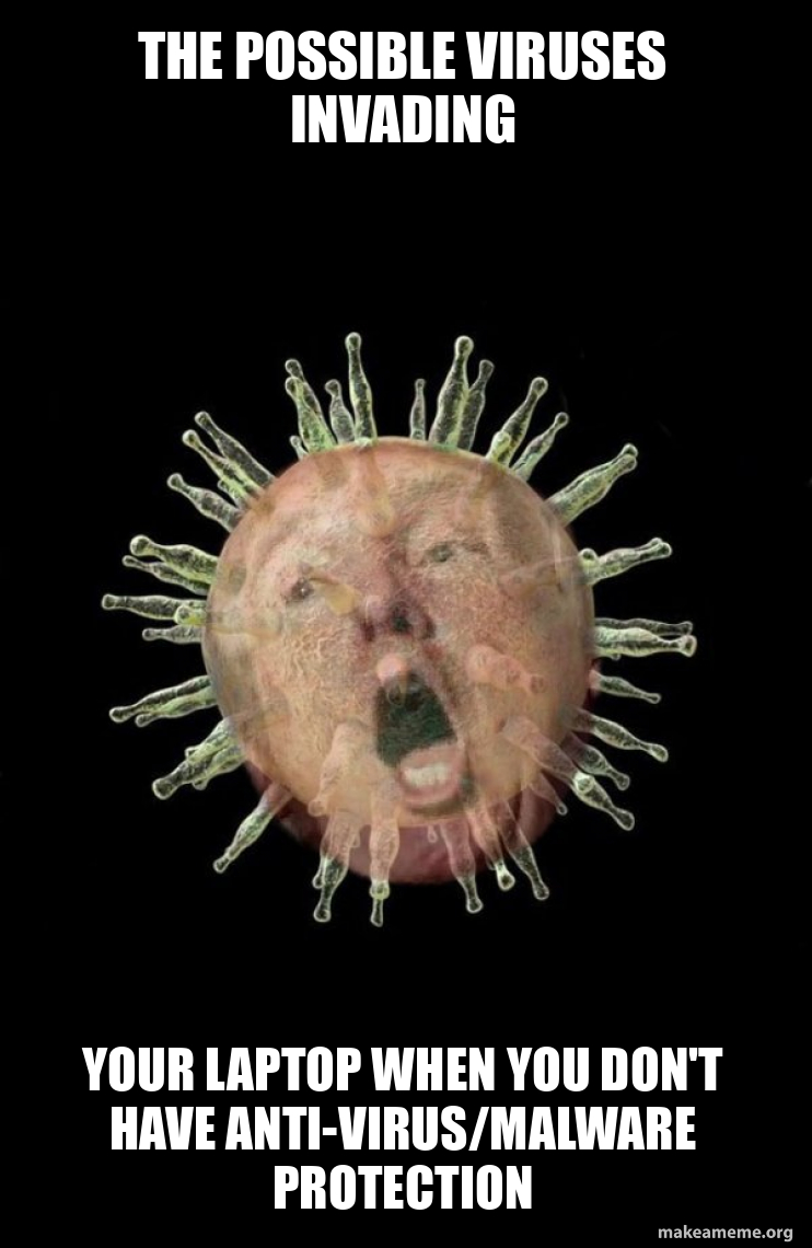 The possible viruses invading your laptop when you don't have anti ...