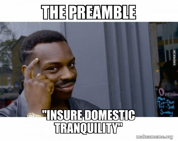 The Preamble "Insure Domestic Tranquility" - Roll Safe Black Guy ...