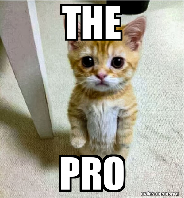 The Pro - Cute Cat Standing Meme Generator