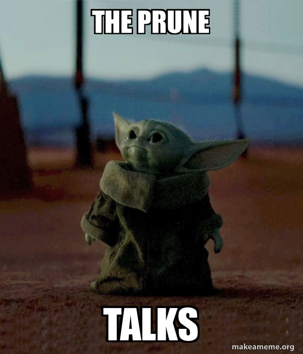 the prune TALKS - Baby Yoda Meme Generator