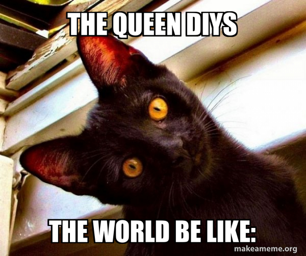 the Queen diys the world be like: - Overly Attached Cat Meme Generator