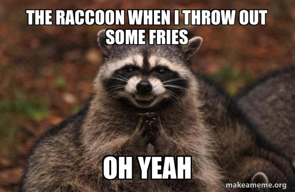 The raccoon when I throw out some fries Oh yeah - Evil Plotting Raccoon ...