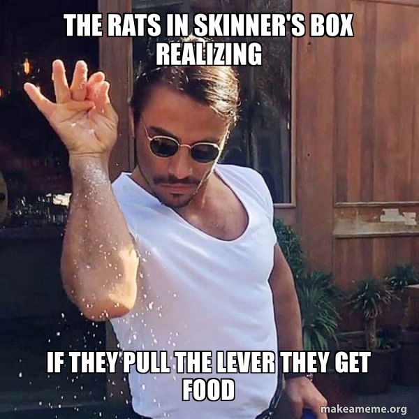 The rats in Skinner's box realizing if they pull the lever they get ...