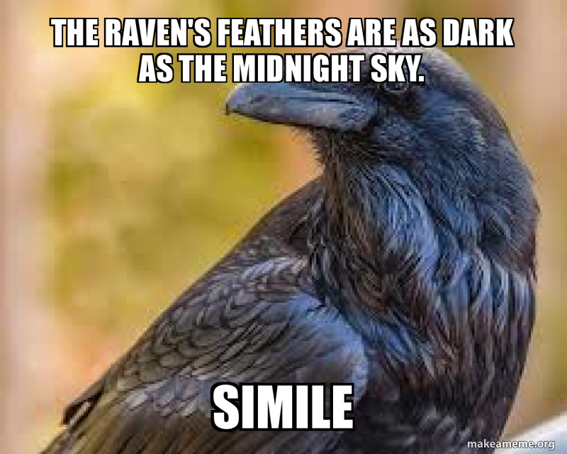 The Raven's feathers are as dark as the midnight sky. simile Meme Generator