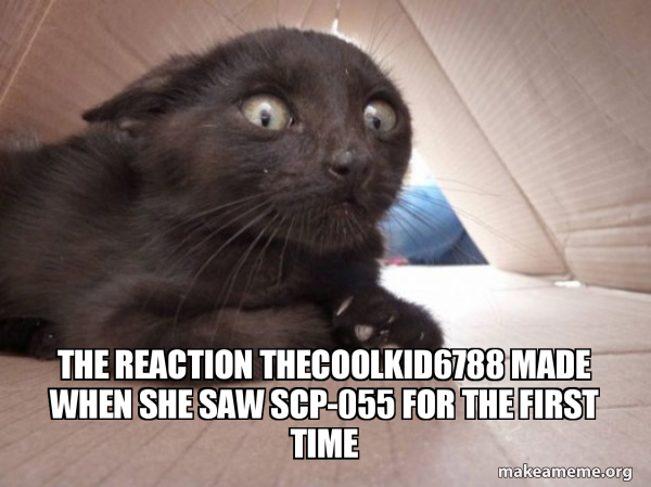 The reaction Thecoolkid6788 made when she saw SCP-055 for the first ...