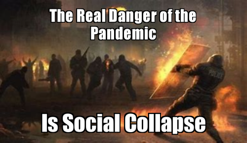 The Real Danger of the Pandemic Is Social Collapse Meme Generator