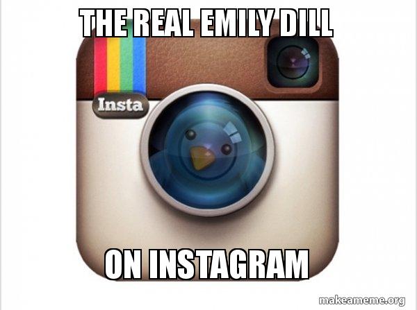 The real Emily Dill On Instagram - Instagram twitter Meme Generator