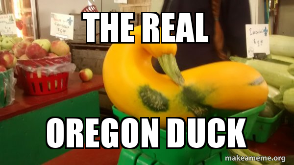 The Real Oregon Duck - Gourd Advice Mallard Meme Generator