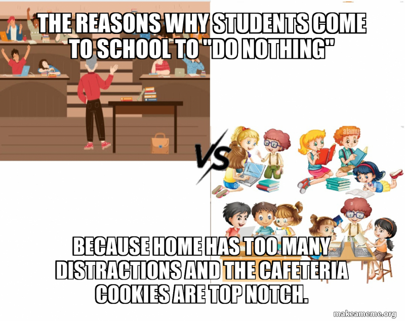 The Reasons Why Students Come to School to "Do Nothing" Because home ...