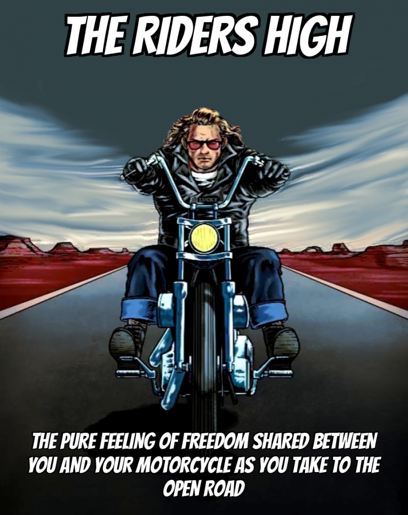 The RIDERS HIGH the pure feeling of freedom shared between you and your ...