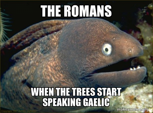 The Romans When the trees start speaking Gaelic - Bad Joke Eel Meme ...