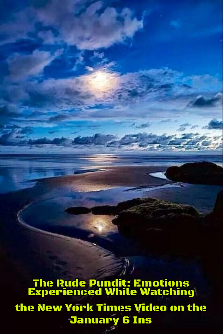 The Rude Pundit: Emotions Experienced While Watching the New York Times ...