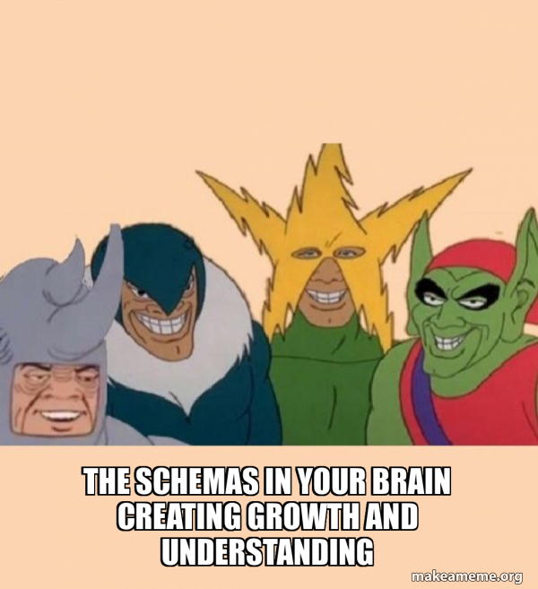 The schemas in your brain creating growth and understanding - Me and ...