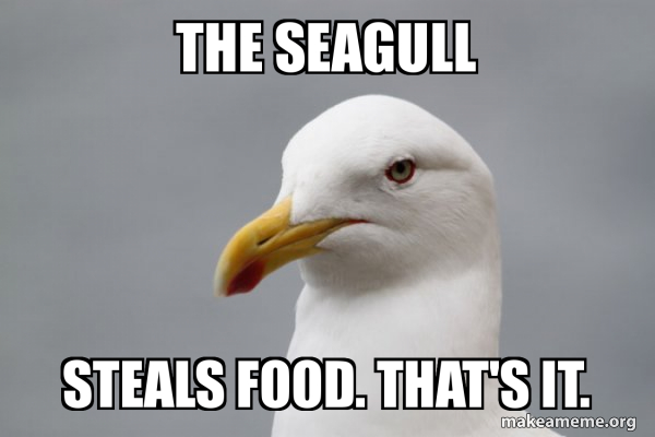 the seagull steals food. that's it. - Stuff That Didn't Happen Seagull ...