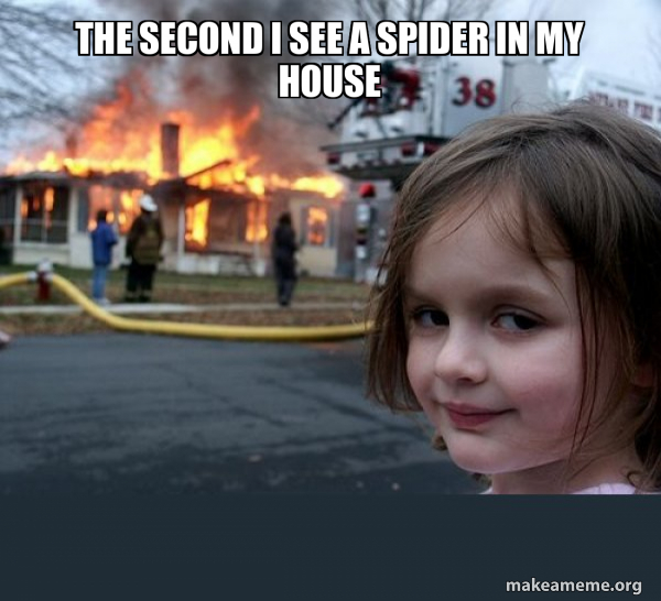 The second i see a spider in my house - Disaster Girl Meme Generator