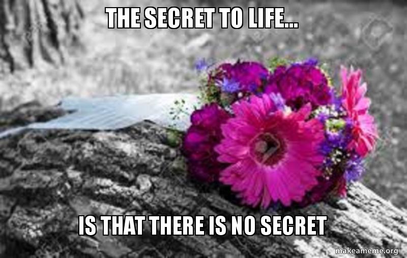 The secret to life... is that there is no secret - ';lkjhnmn m, Meme ...