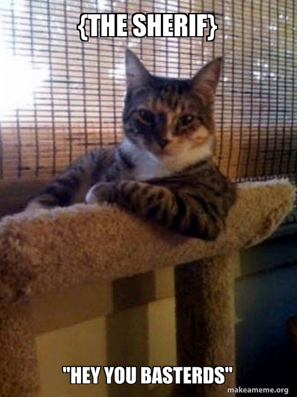 {THE SHERIF} ''hey you basterds'' - The Most Interesting Cat in the ...