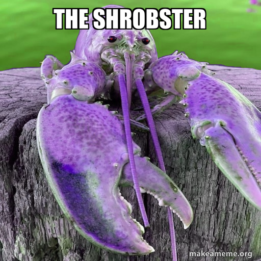 THE SHROBSTER Meme Generator