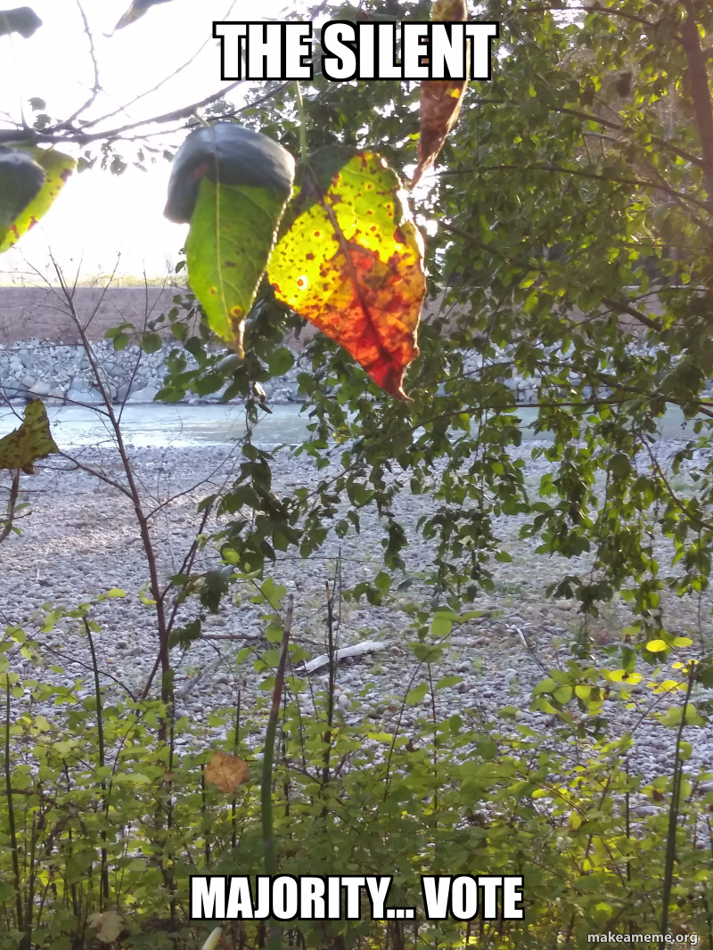 The Silent Majority... vote - Democracy Meme Generator